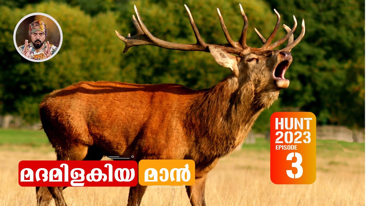 DEER ROAR/ DEER HUNTING VLOGS/ STAG HUNTING/BEST HUNTING VIDEOS/HINTING ...