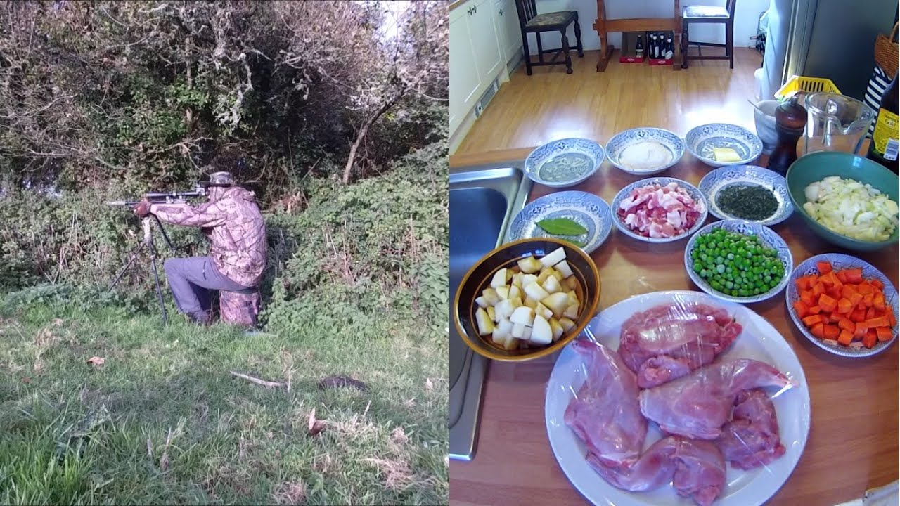 Air Rifle Shooting - Wild Rabbit + Cooking Rabbit Stew with Dumplings ...