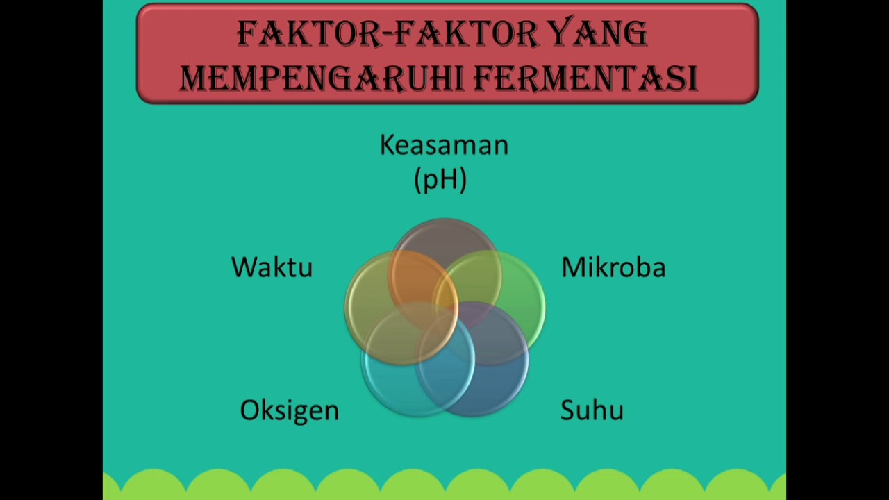 Video Pembelajaran Bioteknologi ( Teknologi Bioproses " Fermentasi ...