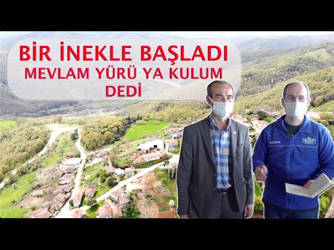 Bir İnekle Başladı Mevlam Yürü Ya Kulum Dedi