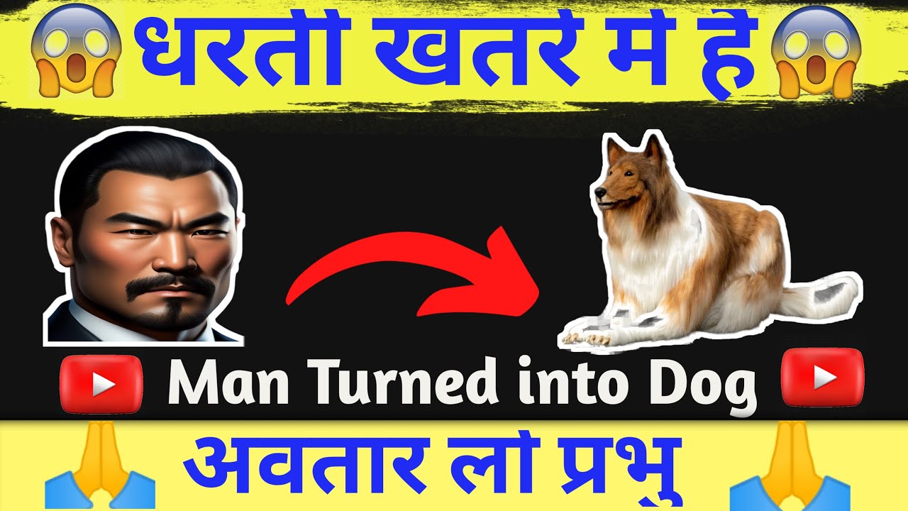 🐕 Man Turned into Dog ।। Rough Collie ।। Toko ।। Japan🧑‍🦯🐶🔄 - YouTube