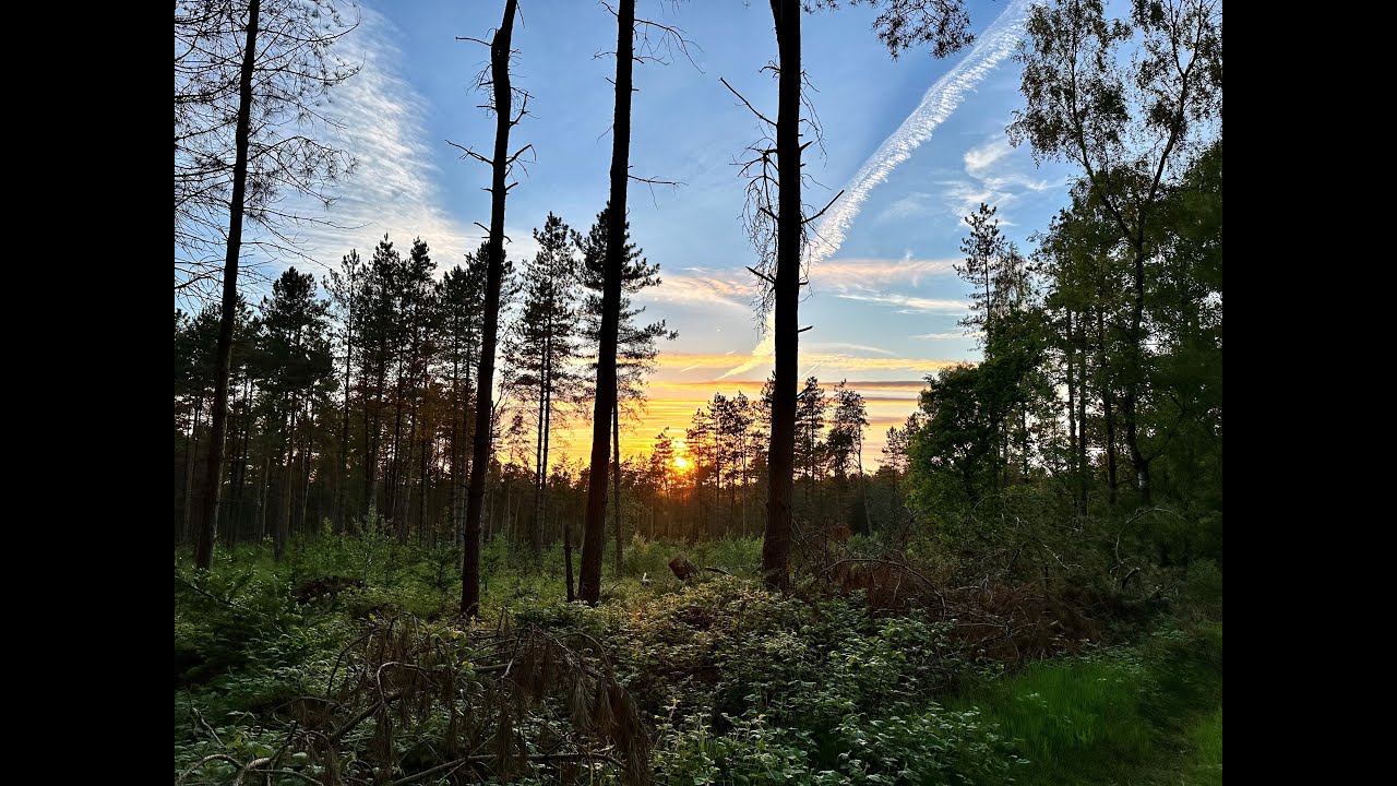 Marston mega cross CX / MTB race - YouTube