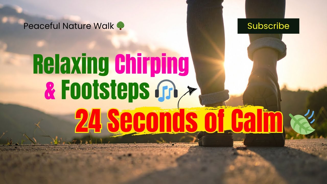 Peaceful Nature Walk 🌿 | Relaxing Chirping Birds & Footsteps ASMR (24s ...