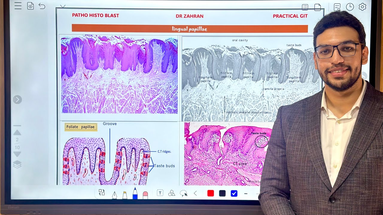 GIT PRACTICAL || Histology || للتقفيل والهندمه - YouTube