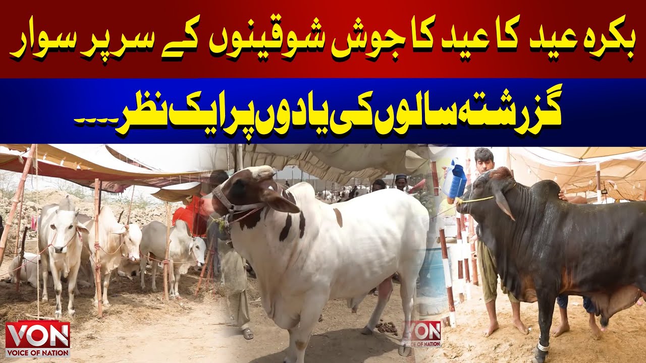 Bakra Eid Ka Josh Shoqeeno Ke Sar Pr Sawar | Guzarshta Saloun ki Eid pr ...