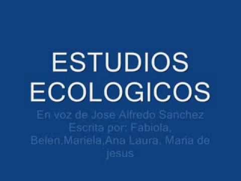 ESTUDIOS ECOLOGICOS - YouTube