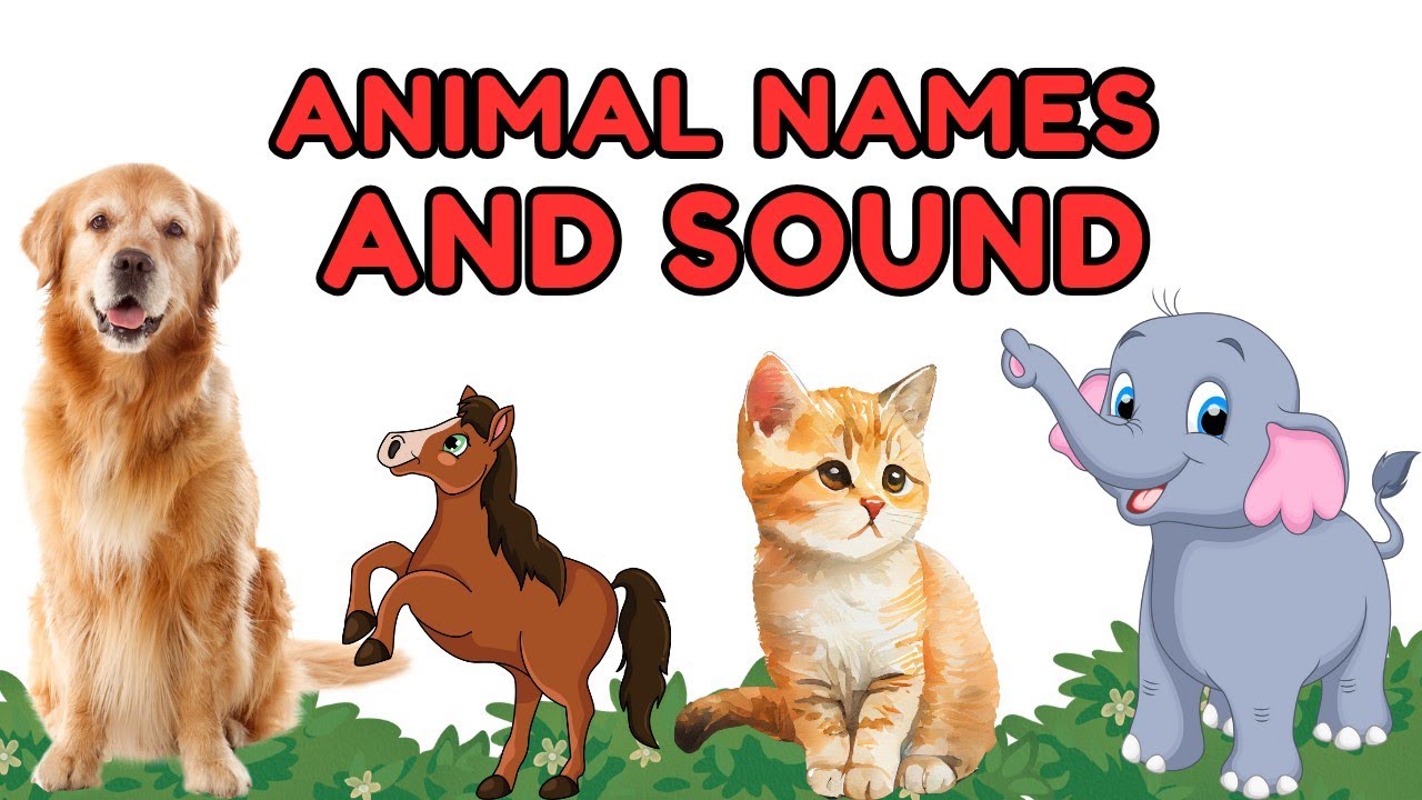 Animal Sounds for Kids | Learn Animal Names and Sounds | Learning ...