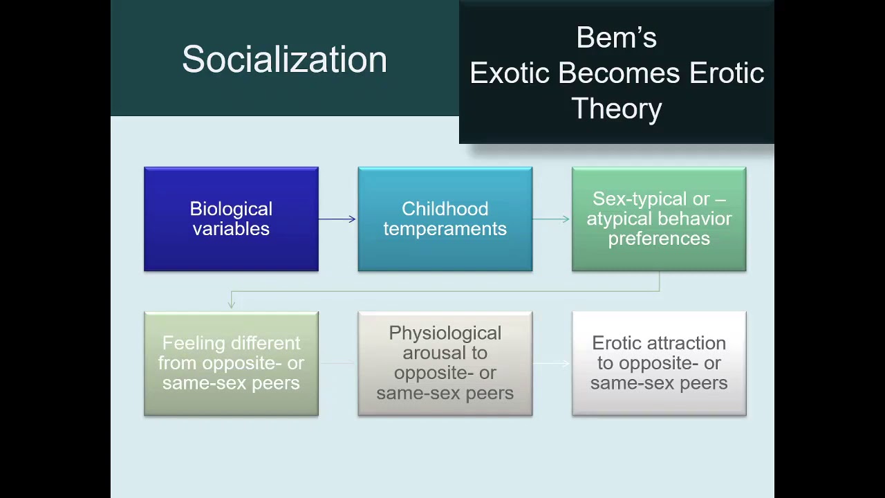 Ch 9.4 Human Sexuality Socialization - YouTube