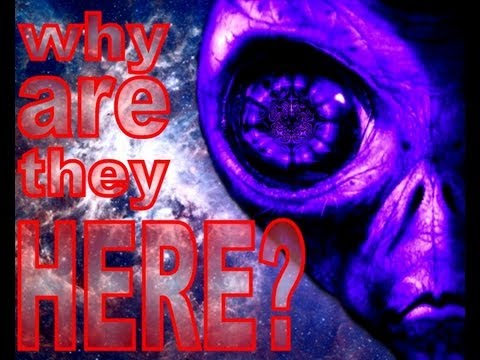 Angel Starship: a Colossus Returns - YouTube