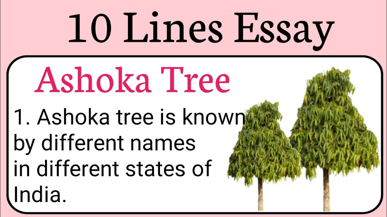 10 Lines on Ashoka Tree in English | 10 Lines on Ashoka Tree | 10 Lines ...