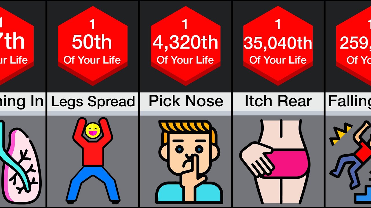 Comparison: Proportion Of Your Life - YouTube