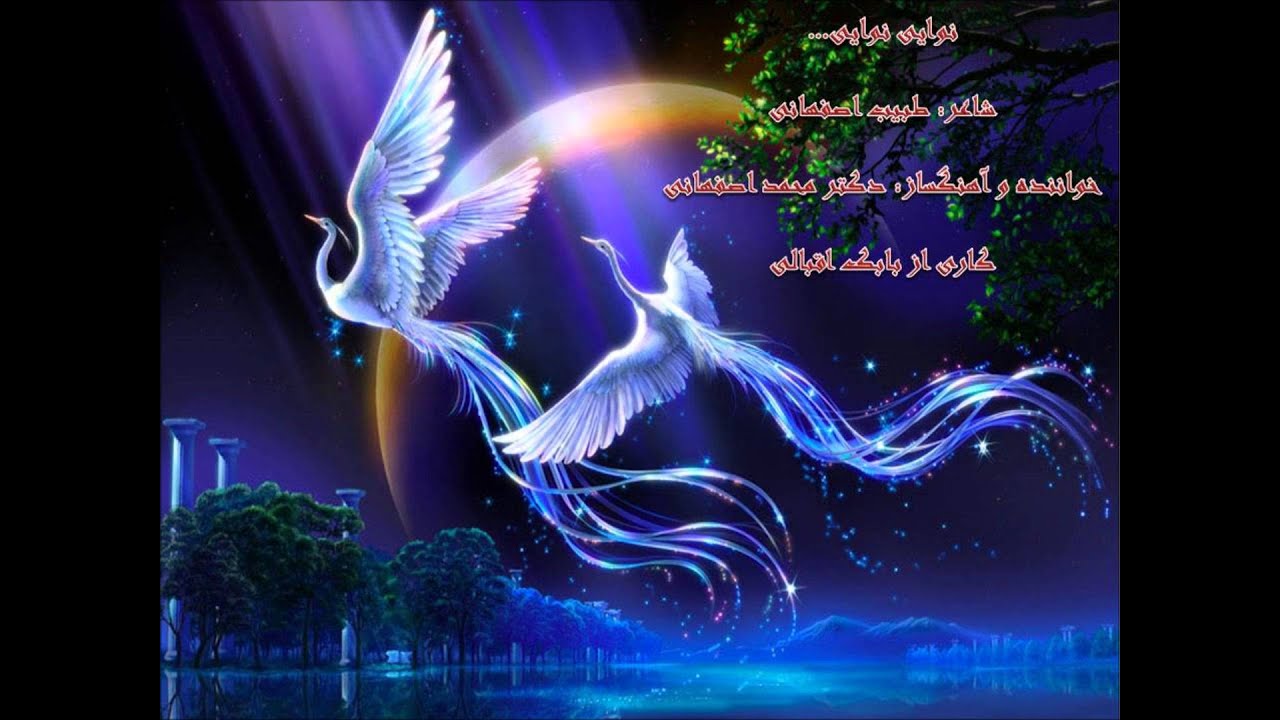 نوایی نوایی... Navaei, Navaei - YouTube