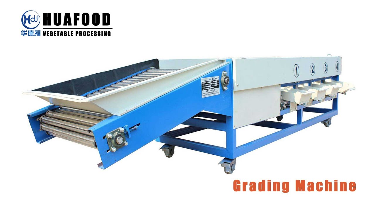 How to grade different size of potatoes,potatoes grading machine - YouTube