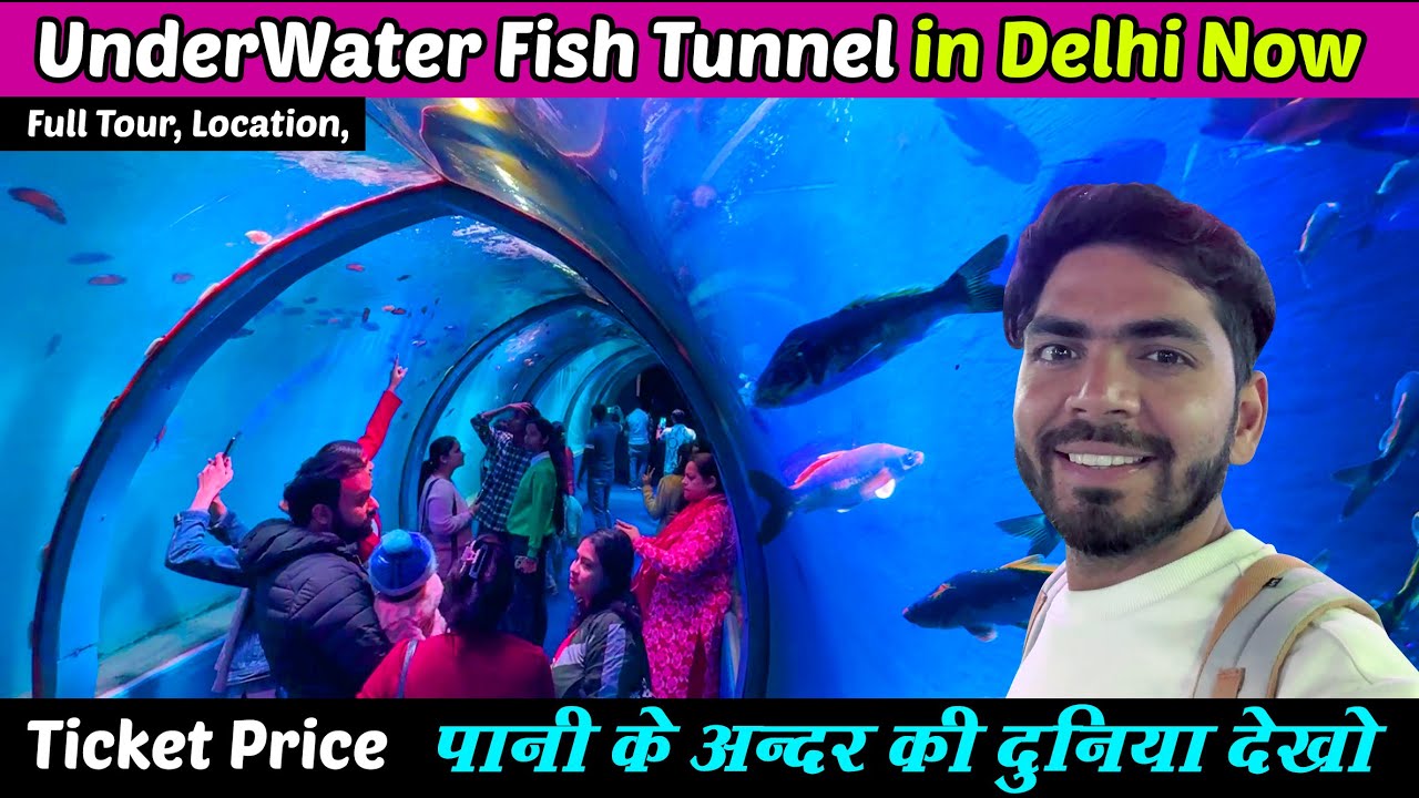 Fish aquarium in Delhi | holi mela in delhi | Dwarka mela 2024 ...