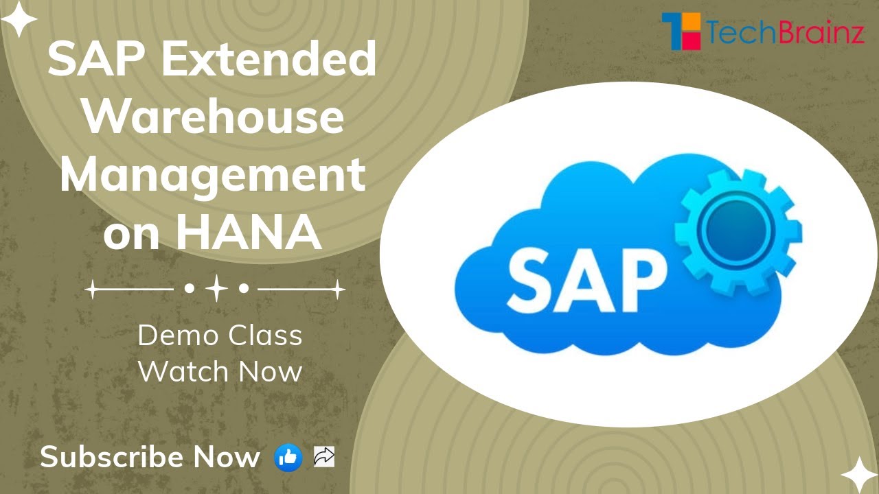 SAP EWM DEMO on HANA1909 By TechBrainz - YouTube