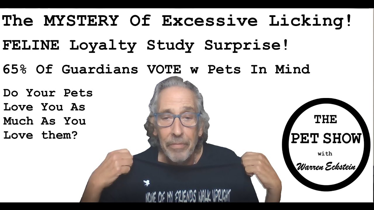 The Pet Show Update 10-30-20 - YouTube