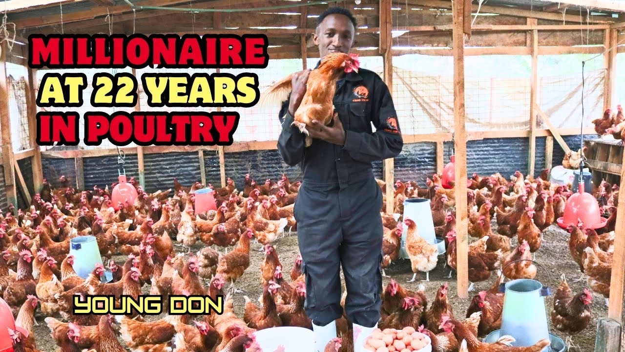 HOW TO MAKE MILLIONS IN POULTRY FARMING. Young Don's POULTRY Success in ...