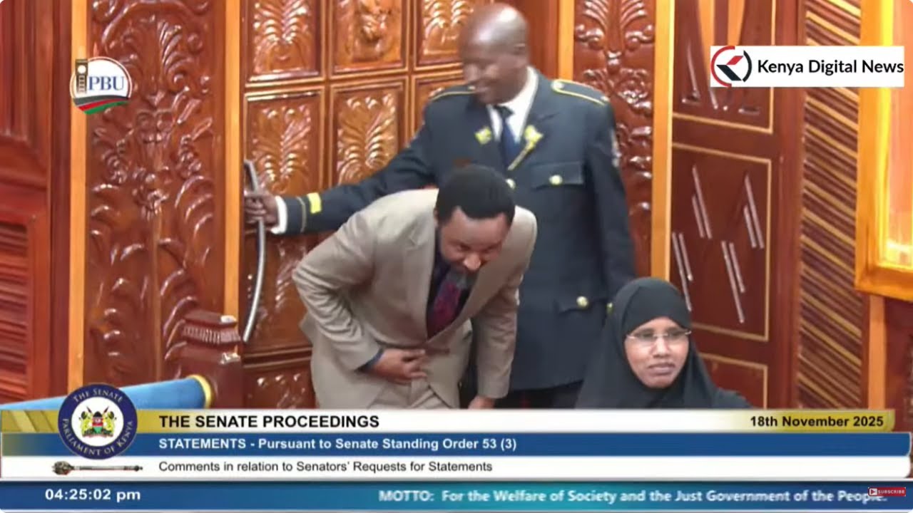 DRAMA as Speaker Veronica Maina EJECTS Senator Karungo Thangwa out of ...
