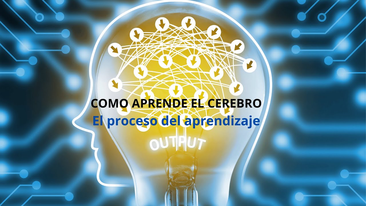COMO APRENDE EL CEREBRO - YouTube