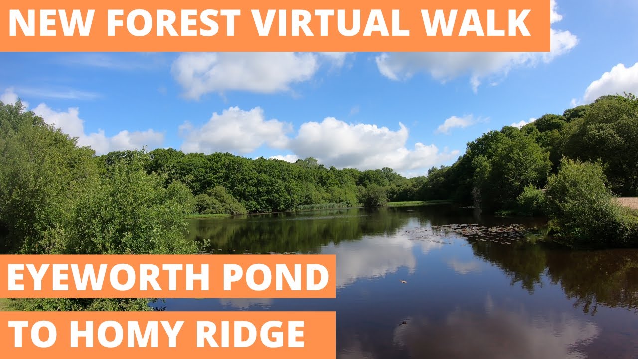 NEW FOREST VIRTUAL WALK. EYEWORTH POND TO HOMY RIDGE. (NEW FOREST NATIONAL PARK) (4K) - YouTube