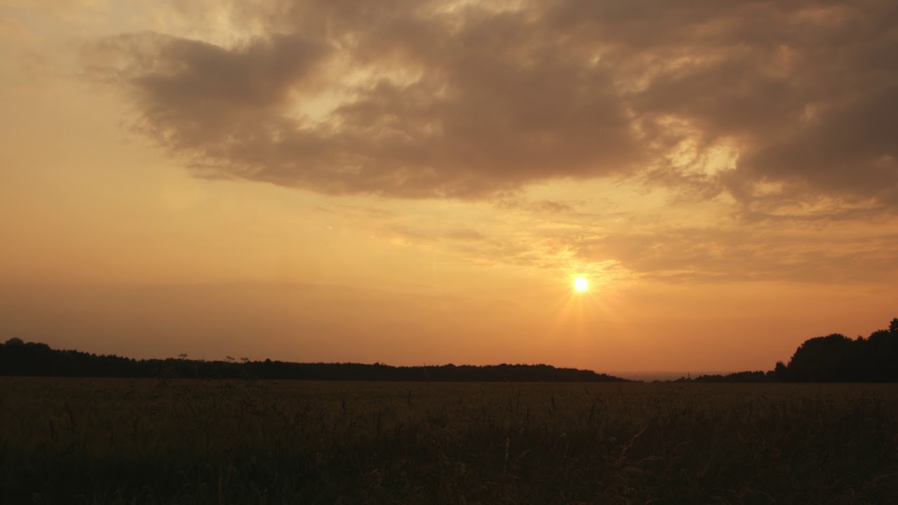 Beautiful Sunset - Free Footage - FULLHD - YouTube
