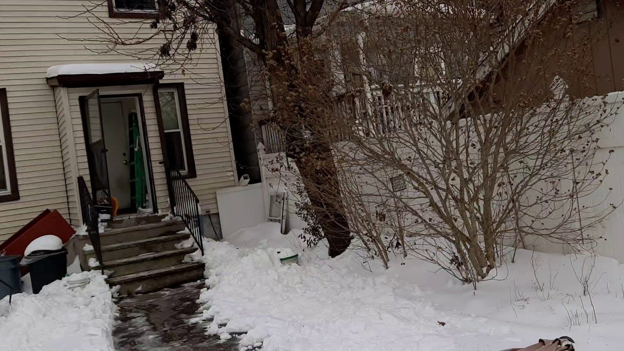 Winter Flying Tippler Pigeons Kings Loft 2020 - YouTube