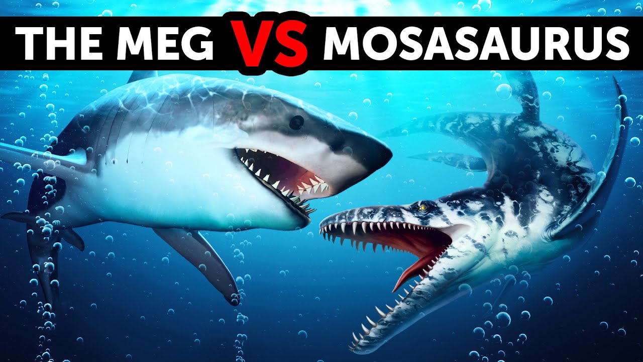 Sea Monsters Megalodon