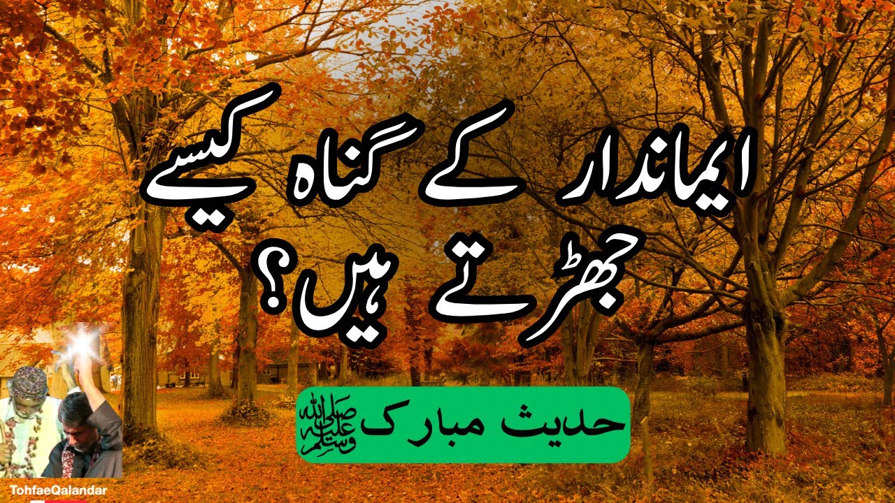 Expiating Sins: Insights from Hadees Mubarak | The Path to Purification ...