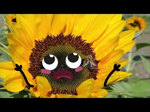 Cute Food Doodles Compilation #73