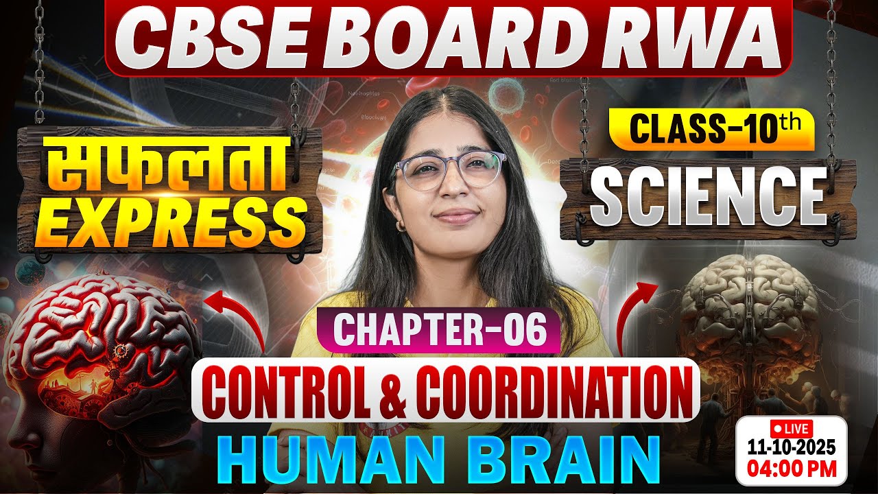 Control and Coordination | Human Brain Chapter 6 Class 10th Science ...
