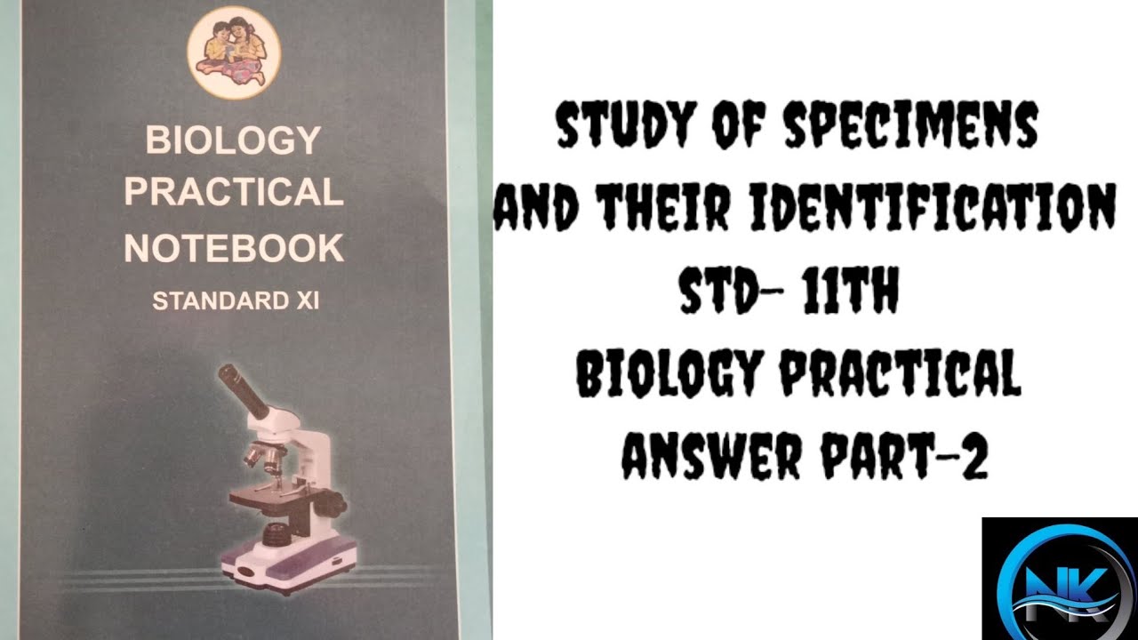2.study of specimens and their identification /11th std/ Biology ...