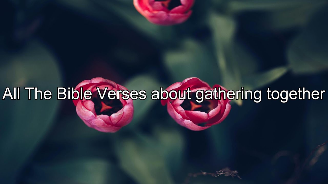 What does the Bible Say About gathering together - All the Bible Verses ...