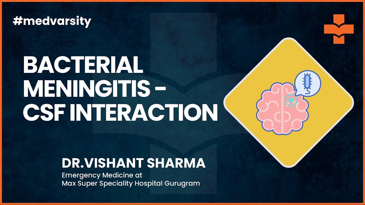 Expert Insights: CSF and Bacterial Meningitis Unraveled - YouTube