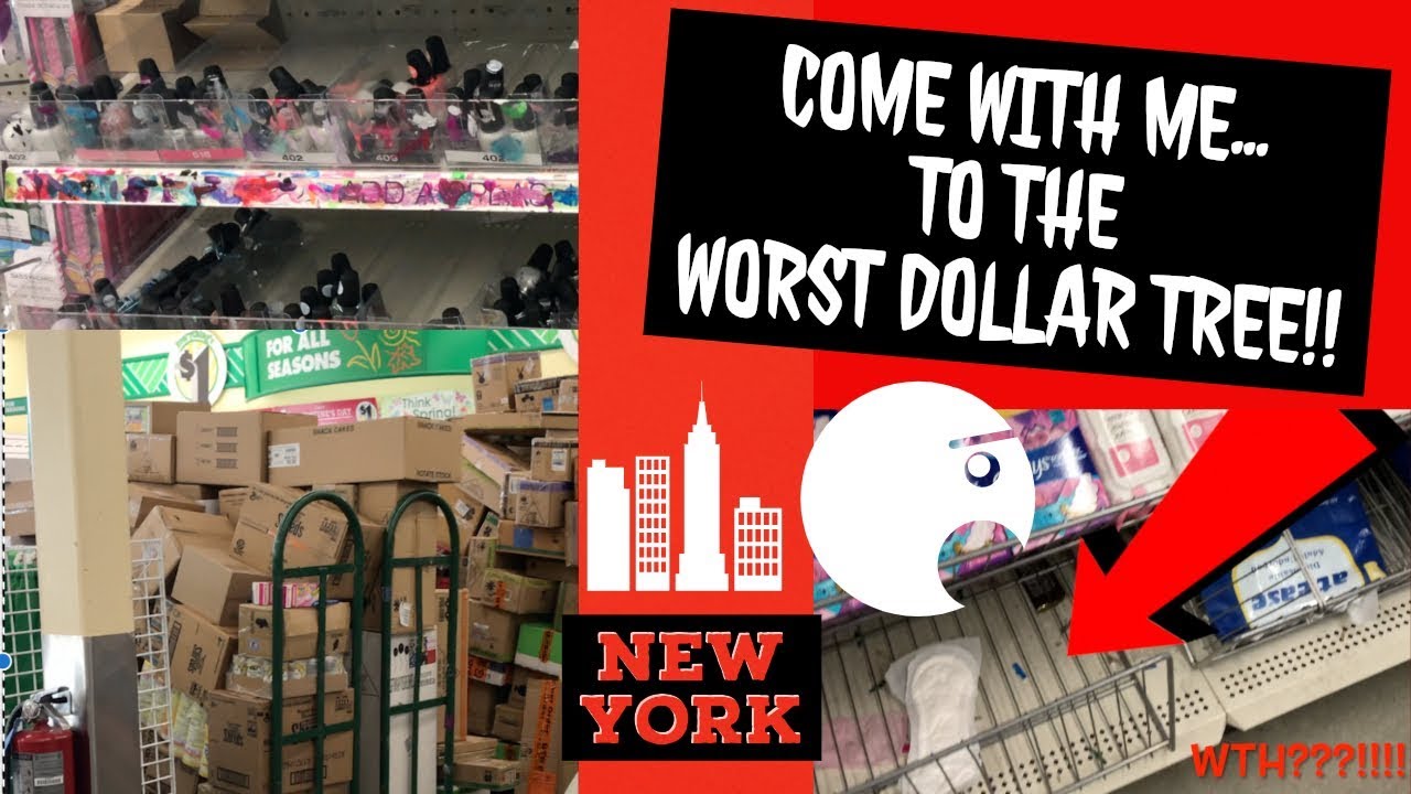 GOING TO THE WORST REVIEWED DOLLAR TREE IN MY CITY! - YouTube