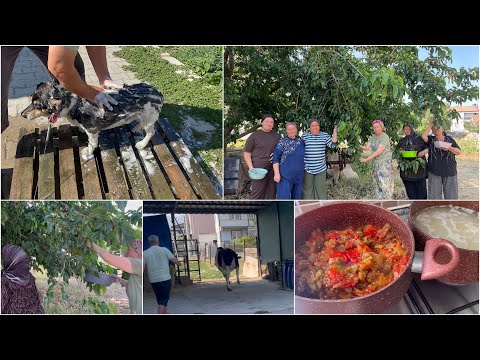 EŞİMLE TORAMANI YIKADIK😂 KARDEŞLERİMLE DUT TOPLADIK✅ AKŞAM MENÜMÜZ