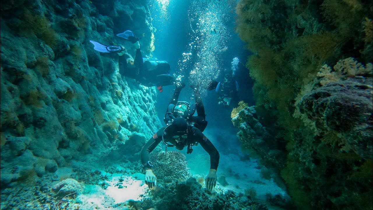 Liveaboard trip: Red Sea (Egypt) in 2019 - 4K - YouTube