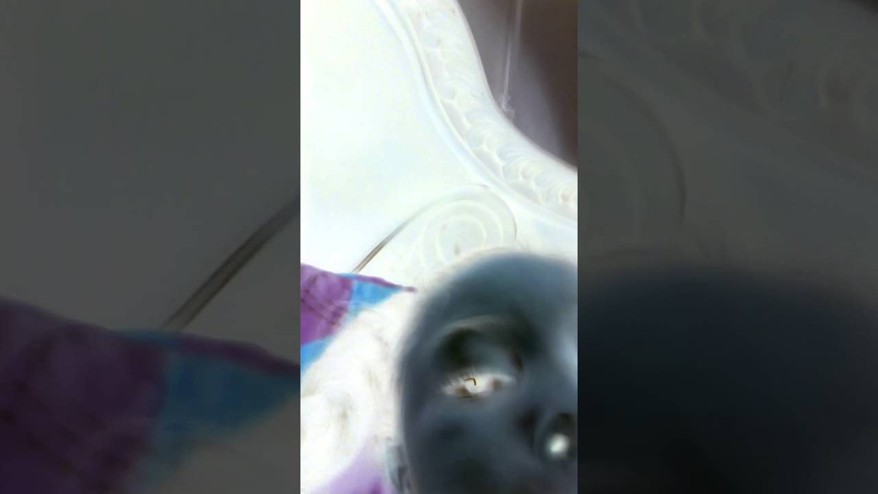 Como aser un coyar - YouTube