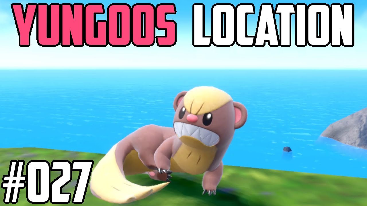 How to Catch Yungoos - Pokémon Scarlet & Violet - YouTube