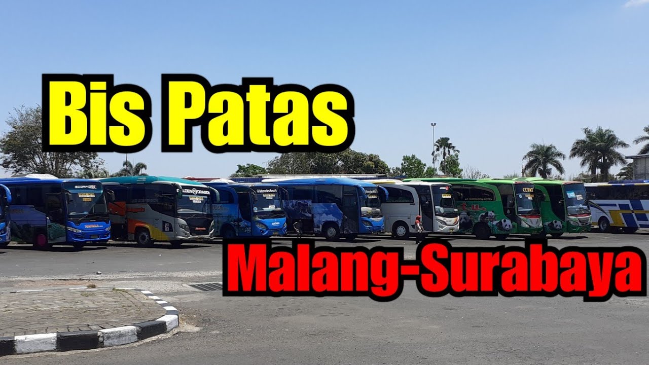 Bis Patas Di Terminal Arjosari Malang - YouTube