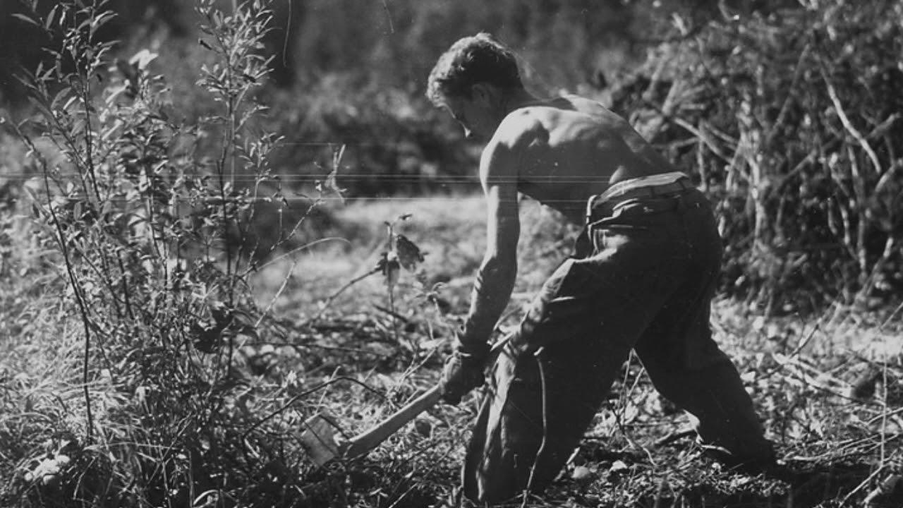 Civilian Conservation Corps Planting Trees