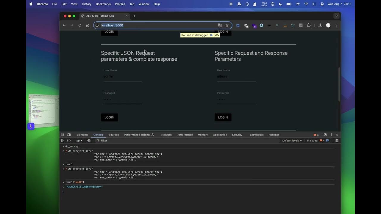 Directly invoke JavaScript functions from the browser within Burp Suite. - YouTube