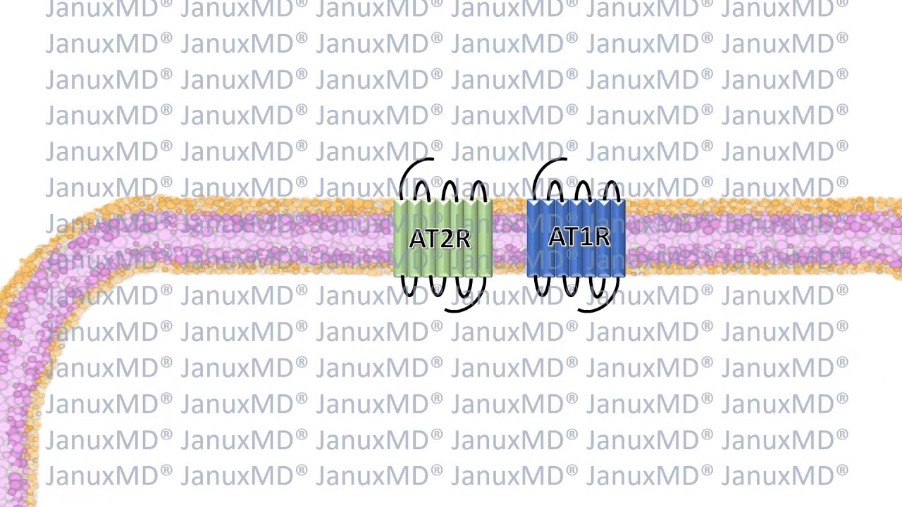 Fibrilina JanuxMD® - YouTube