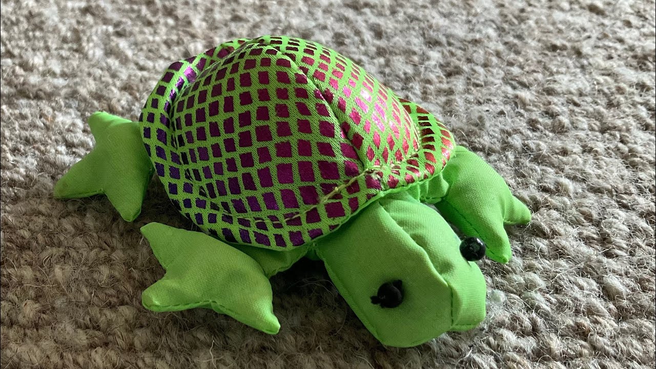 The life of a hungry turtle - YouTube