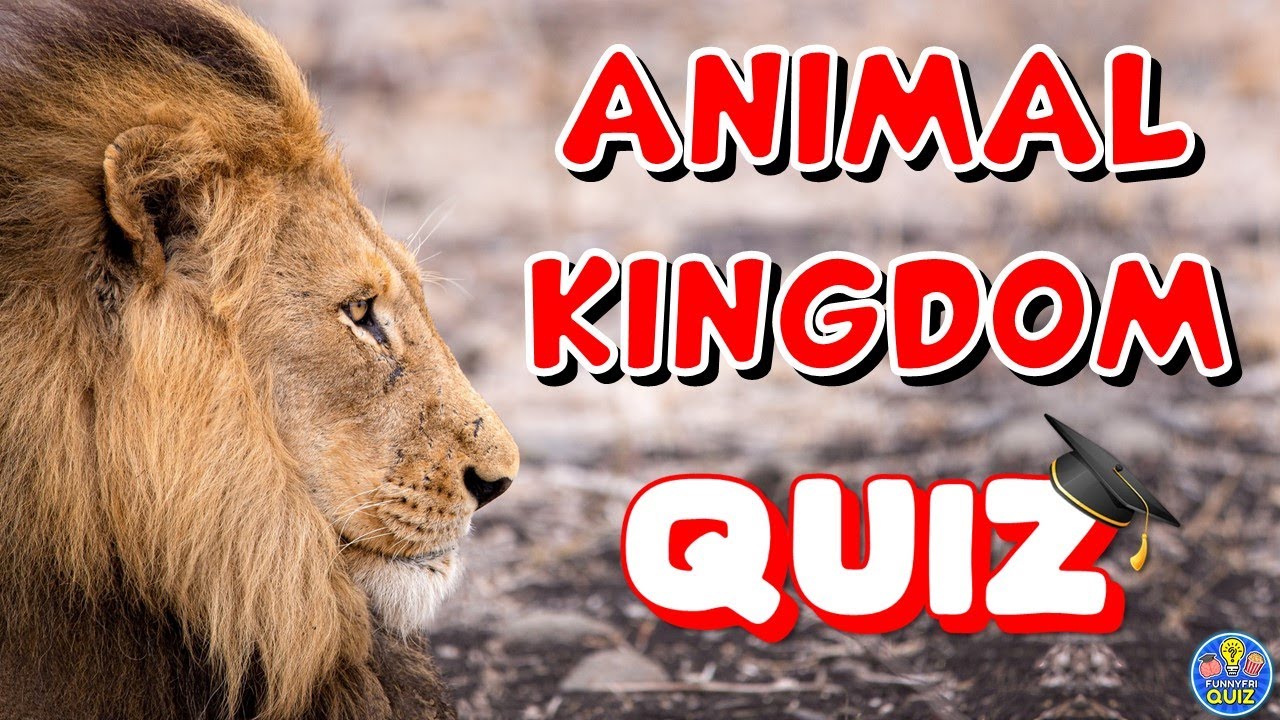 "ANIMALS" Quiz! | How Much Do You Know About "ANIMAL KINGDOM"? Test ...