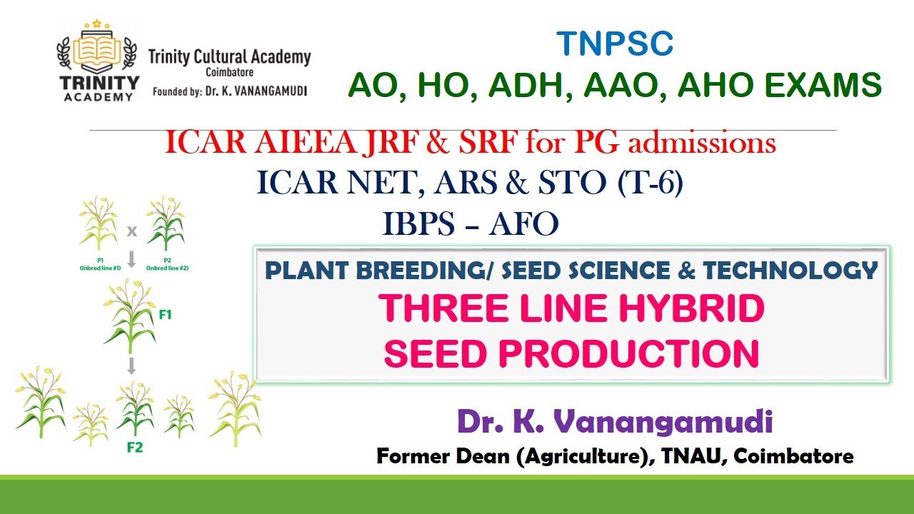 Three line Hybrid Seed Production/PLANT BREEDING/ SEED SCIENCE ...