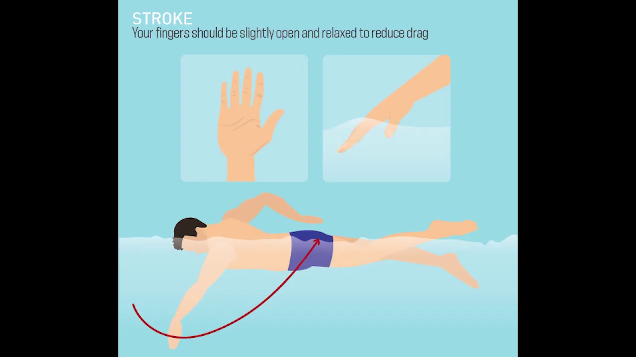 PPD1032 Basic Strokes of Freestyle Swim - YouTube