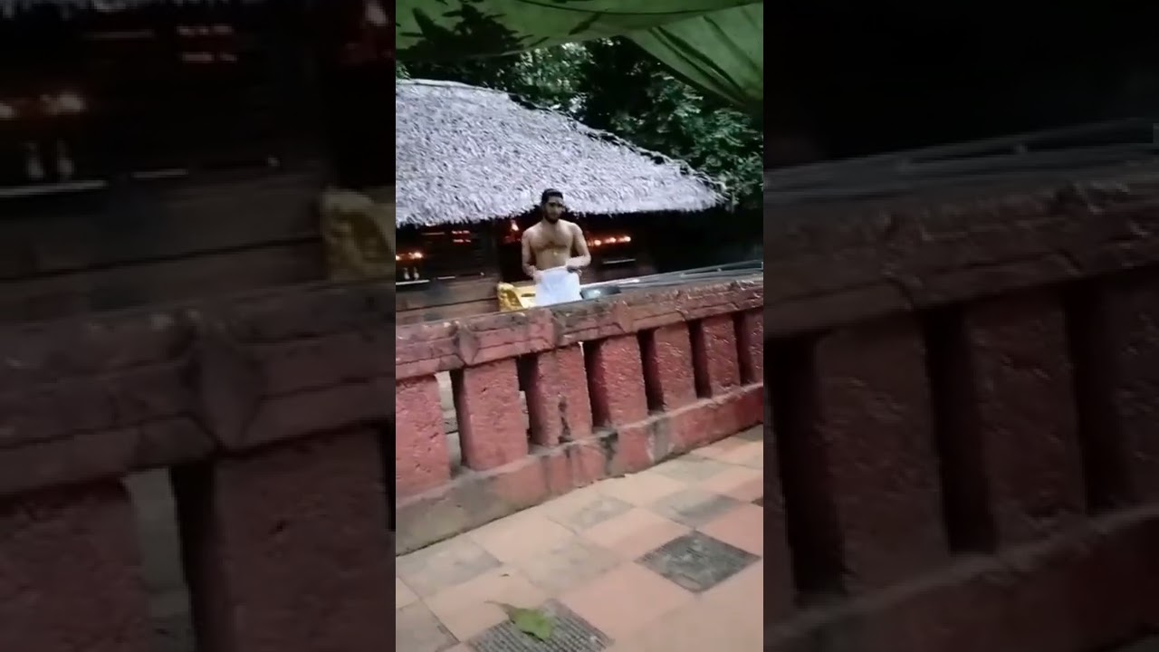 ശ്രീ മേമുണ്ട മഠം നാഗക്ഷേത്രം🔥🙏||Memunda madam ||Snake temple|| - YouTube