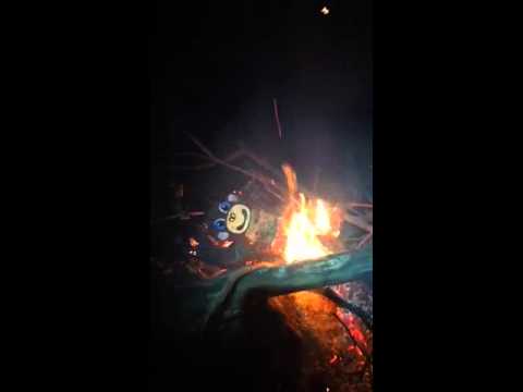 burning of monkey - YouTube