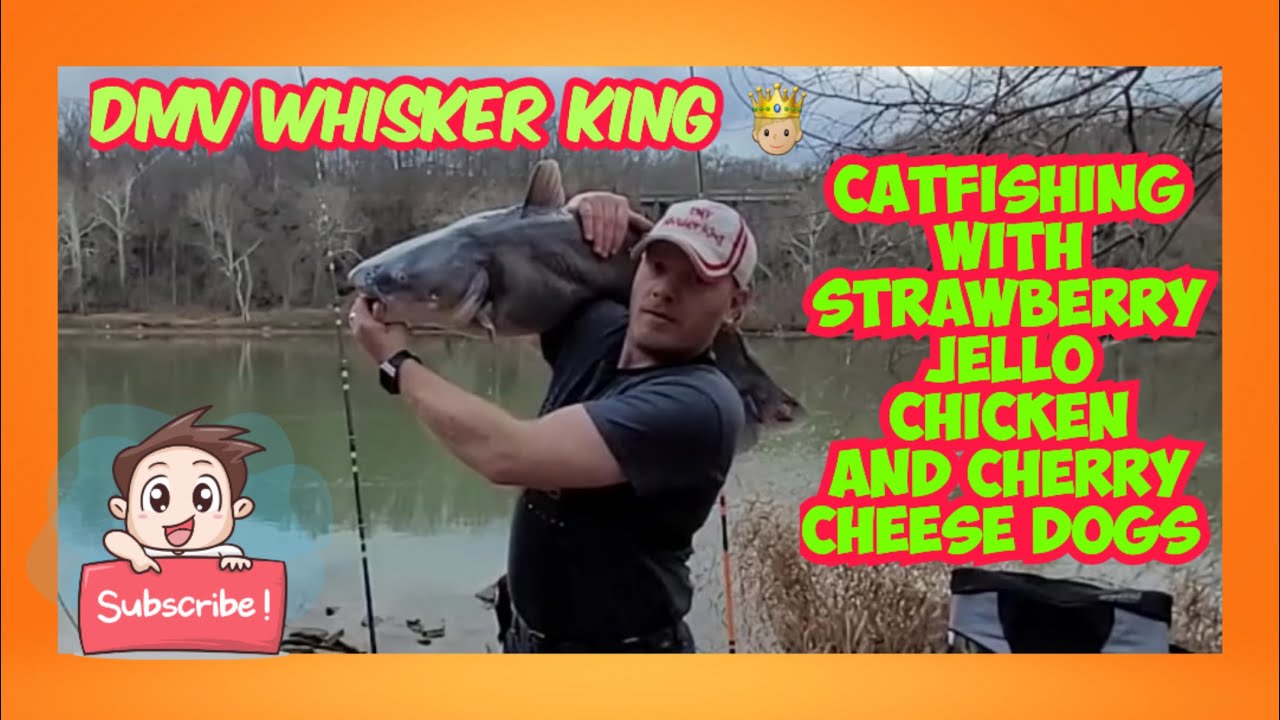 Catfishing With Jello Chicken and Jello cheese Dogs - YouTube