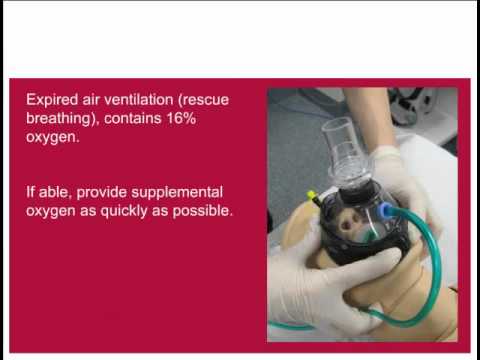Basic Life Support Tutorial. - YouTube